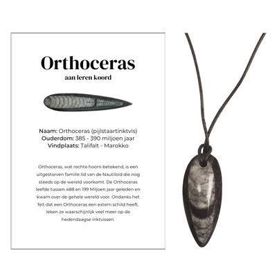 Orthoceras on cord - The Old Earth