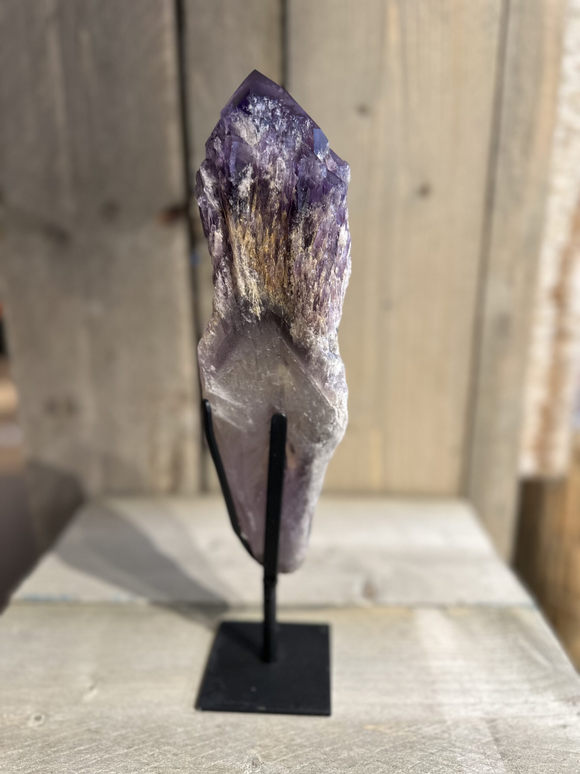 Amethyst Jacaré on stand #4 - The Old Earth
