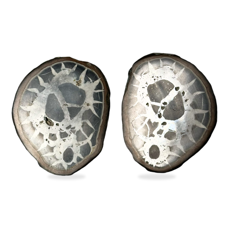 Pair - Septaria #2 - The Old Earth