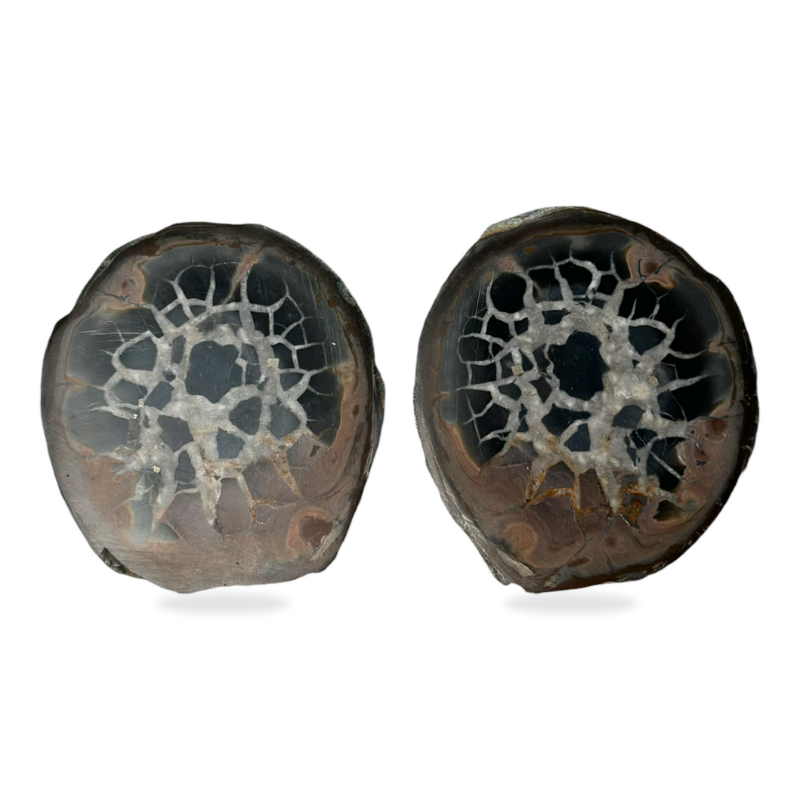 Pair - Septaria #4 - The Old Earth