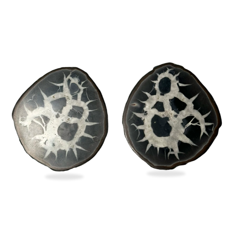 Pair - Septaria #9 - The Old Earth