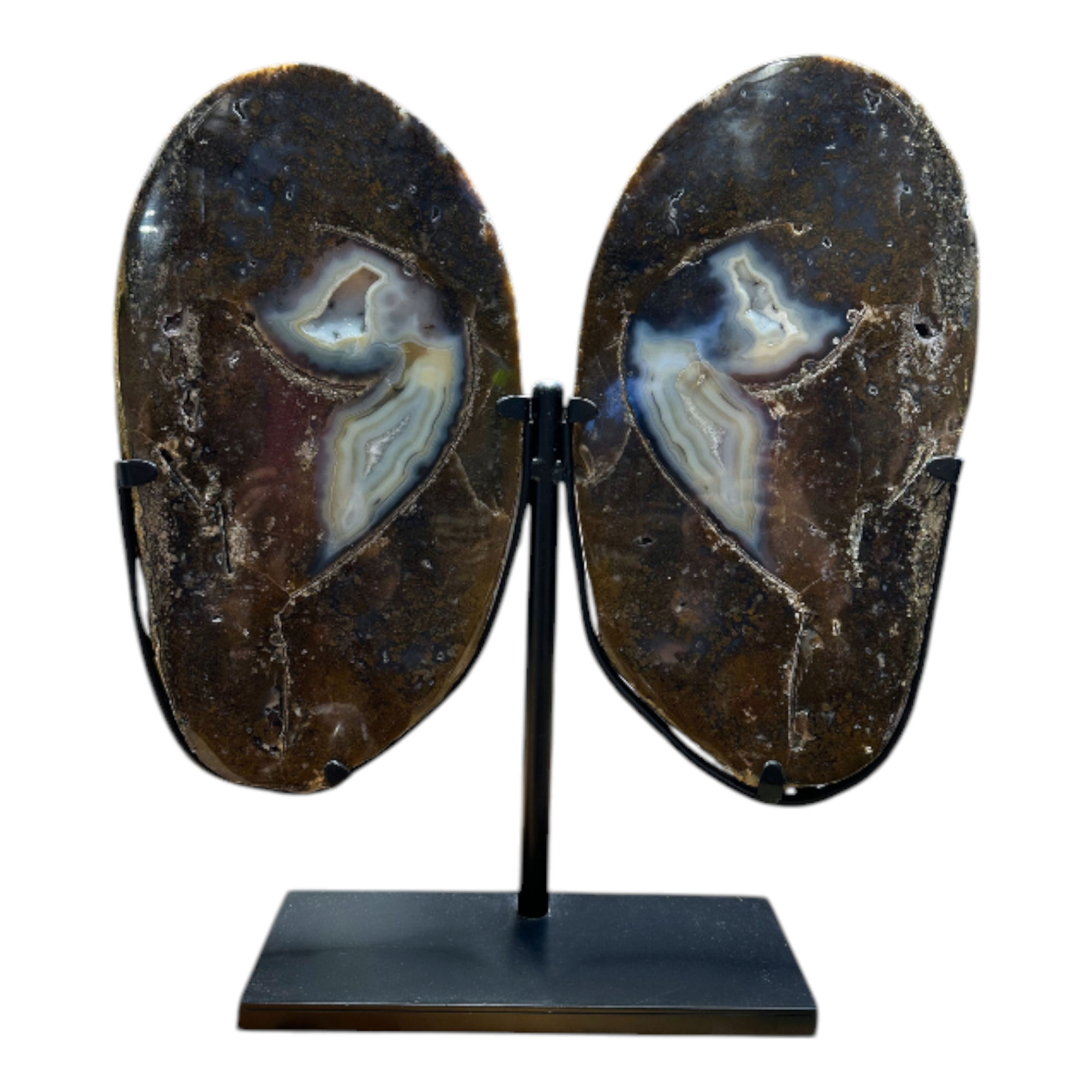 On stand - Agate butterfly special - The Old Earth